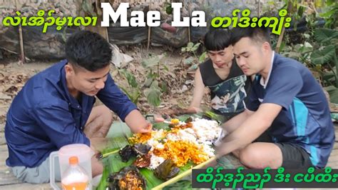 ငပီထိး ဒီး ထိၣ်ဒ့ၣ်ညၣ် ကသူ လၢ သကိးဖီဒုအီၣ် လဲၤအီၣ်ဝံၣ်မ့ၤလၢကျိးပူ