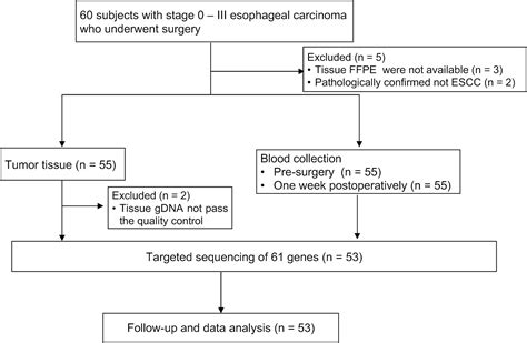 Frontiers Plasma Circulating Tumor Dna Sequencing Predicts Minimal Residual Disease In