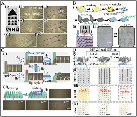 Programmable And Reprogrammable Actuation Pattern A Optical Download Scientific Diagram