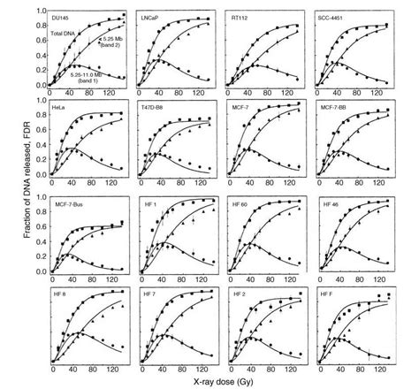 Induction Of Dsb Measured By Gfge Cells Were Irradiated On Ice With
