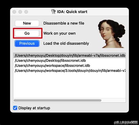 【教程】使用 Ida Pro 010 Editor 反编译和修改 So 文件，让你轻松玩转逆向工程！ 掘金