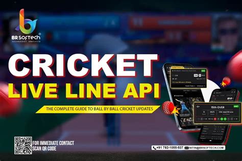 Cricket Live Line Api For Ball By Ball Score Of All Matches Br Softech Br Softech Pvt Ltd