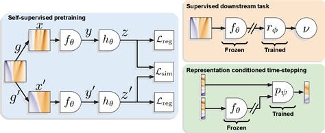 Self Supervised Learning With Lie Symmetries For Partial Differential