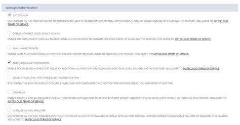 netsuite introducing the suiteql query api