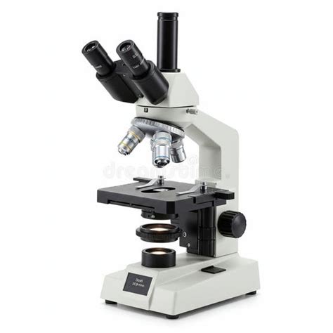 A Compound Microscope With Dual Eyepieces And Multiple Objective Lenses Mounted Stock