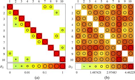 The Transition Dynamics Is Quantified By A Cluster Transition Matrix