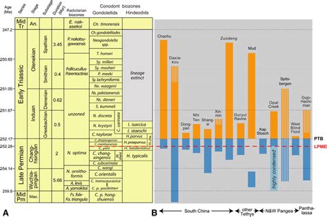 A Timescale And Biostratigraphic Zonation For The Late Permianearly Download Scientific
