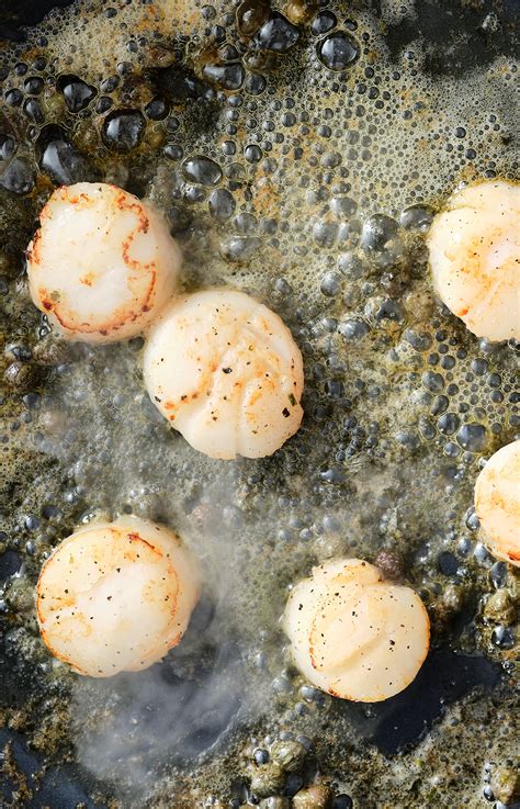 7 Superlekkere Coquilles Recepten Koken Met De Morgen