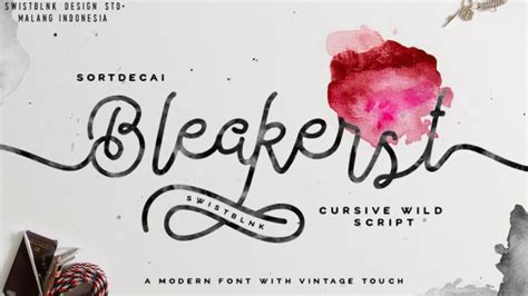 Bleakerst Script Font Fontesk