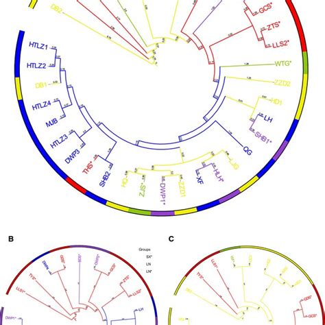 The Clustering Results Of Five Chinese Pine Groups Based On Nei Genetic