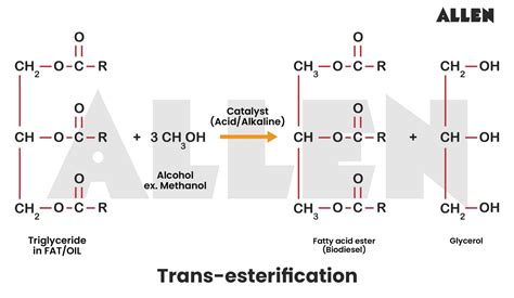 What Is An Ester Formation Properties And Importance