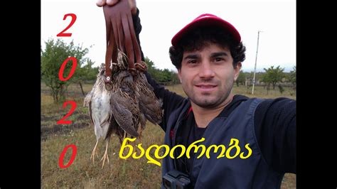 ნადირობა მწყერზე 2020 Youtube