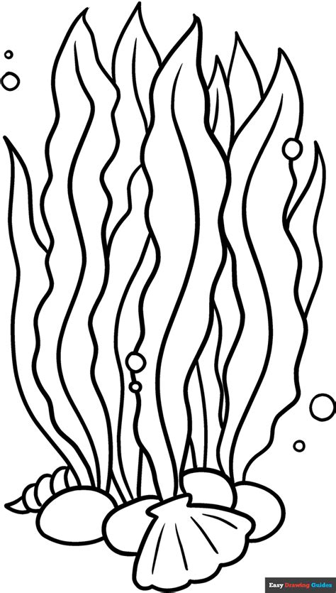 Seaweed Algae Drawing Clipart Kelp Sea Icon Weed Ocean Coloring