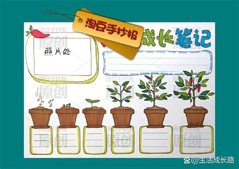 辣椒观察日记手抄报（高清15张） 手抄报图片大全