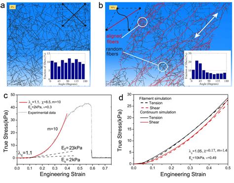 Figure 1 From Long Range Force Transmission In Fibrous Matrices Enabled By Tension Driven