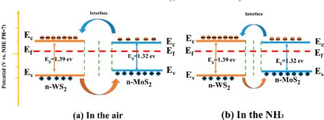 Figure 12 From Highly Selective Nh3 Sensor Based On Mos2ws2 Heterojunction Semantic Scholar