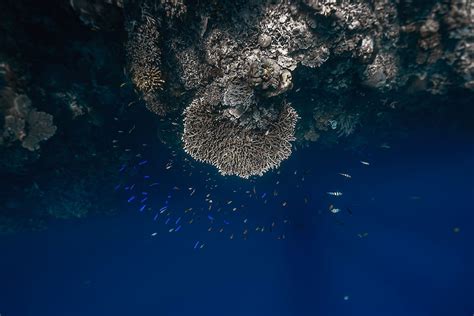 보홀자유여행 보홀투어 보홀스냅 Bohollab