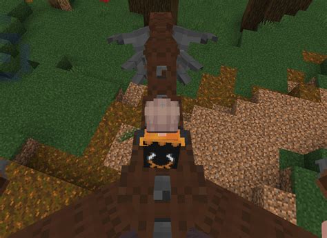 Ice And Fire Dragons Show Duplicate Player Model In First And Third