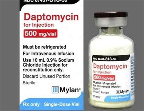 What Is Daptomycin Used For Chemicalbook