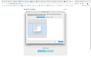 Seamless Switch Between WebRTC Screen Sharing Camera Ant Media Server