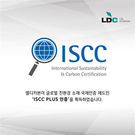 뉴스 1 페이지 엘디카본