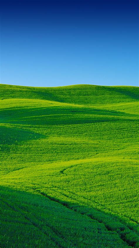 Green Grass Background Hd