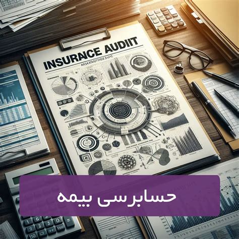 چه شرکت هایی مشمول حسابرسی بیمه هستند؟ رایان محاسبان