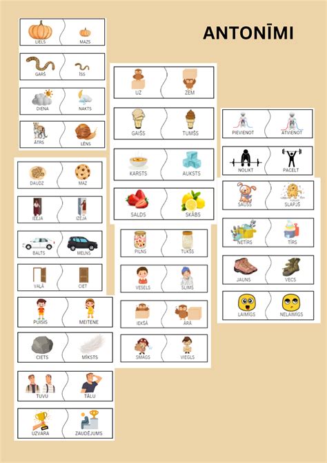 AntonĪmi Mācību Materiāli