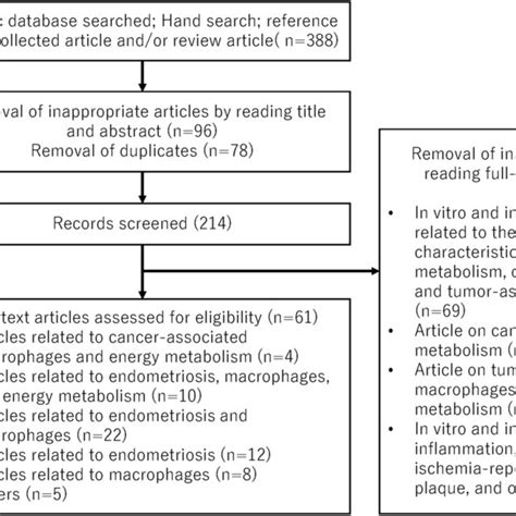 Metabolic Reprogramming In Endometriosis Red Letters Indicate