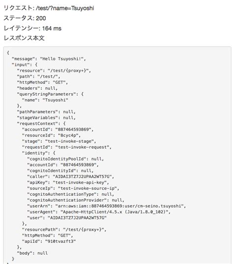 【新機能】amazon api gatewayの設定方法にcatch allパス変数、anyメソッド、lambdaとの新しいプロキシ連携の3機能が追加。 developersio
