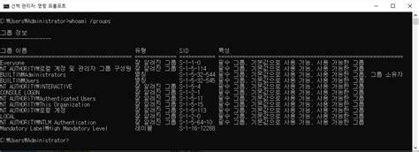 윈도우 서버 Os에서 서버 관리에 사용 하는 Whoami 명령어에 대한 설명