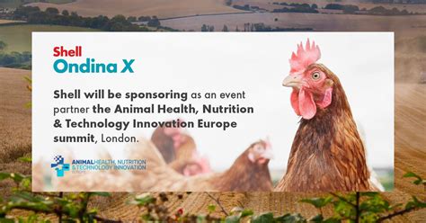 Kv Anand On Linkedin Shell Ondina X A Product Which Not Only