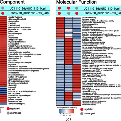 Go Functional Enrichment Cluster Analysis Of Deps A Biological