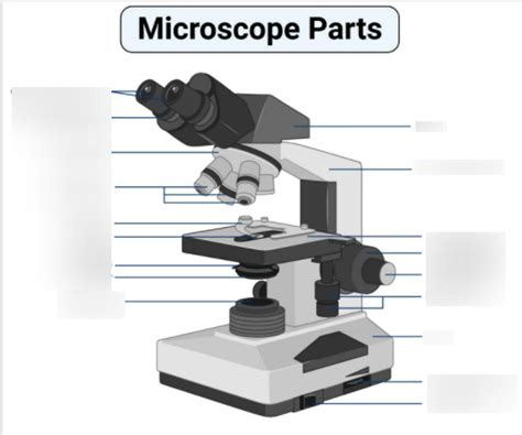 Lab Exam 1 Diagram Quizlet