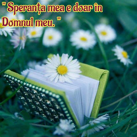 ЦАСД град Долни чифлик Нашият поздрав за всички приятели и посетители днес 15 02 СЪБОТА е