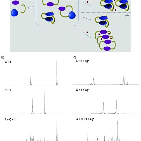 A Schematic Presentation Of Selection From A Dynamic Library Download Scientific Diagram