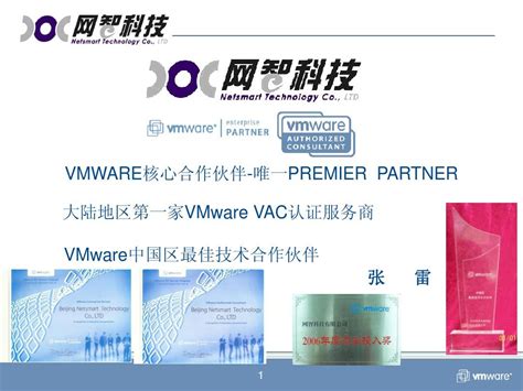 Vmware虚拟架构产品和解决方案netsmart080917 Word文档在线阅读与下载 无忧文档