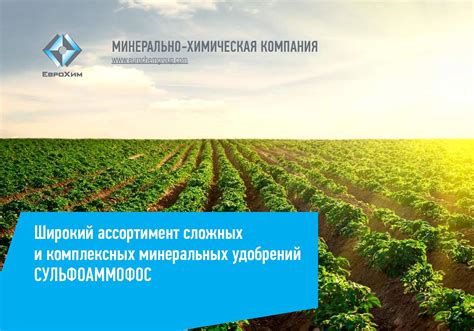 Комплекс минеральных удобрений от Еврохим — АгроXXI