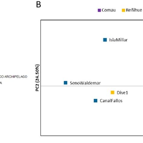 Nested Donut Plot On Genetic Beta Diversity Indicating Percentage Of Pa