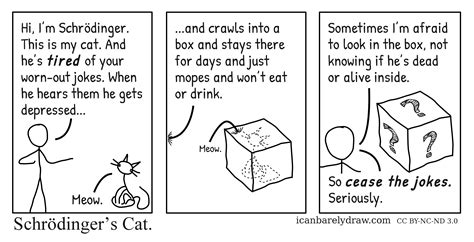 Schrodingers Cat Equation