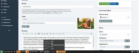 Debug Bar Bolt Documentation