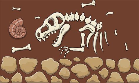 Dibujos Animados De Animales Fósiles Con Dinosaurios Peces Huesos Y