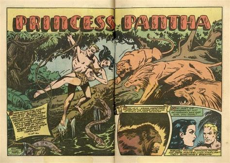 Princess Pantha Alchetron The Free Social Encyclopedia