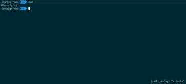 Macos Zsh Sticky Prompt Stack Overflow