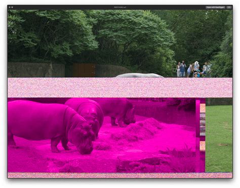 raw photo recovery after hdd format r datarecovery