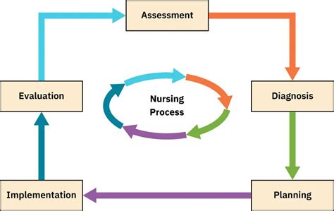 1 3 Nursing Process Clinical Nursing Skills Openstax