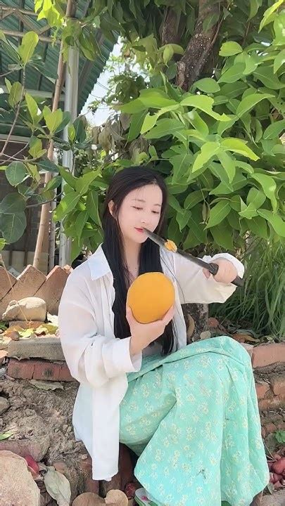 盯着这个熟的木瓜很久了，趁着晴摘个果 云南 西双版纳 我的乡村生活 Fruit Shorts Youtube