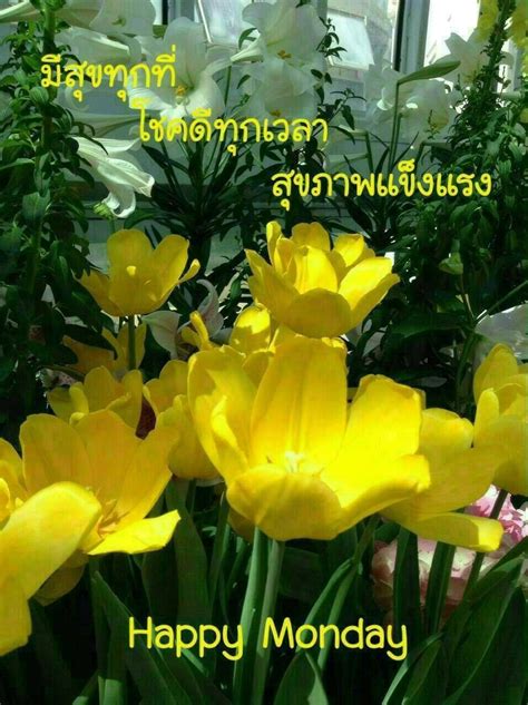 💛happy Monday💛