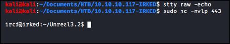 Upgrading Simple Shells To Interactive Ttys W Python Infinite Logins