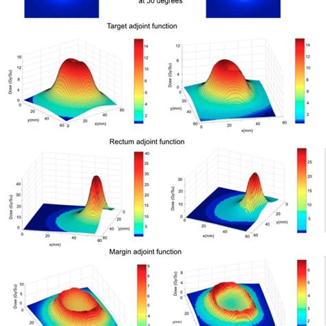 Two Dimensional Surface Plots For All The Roi Adjoint Functions Using Download Scientific